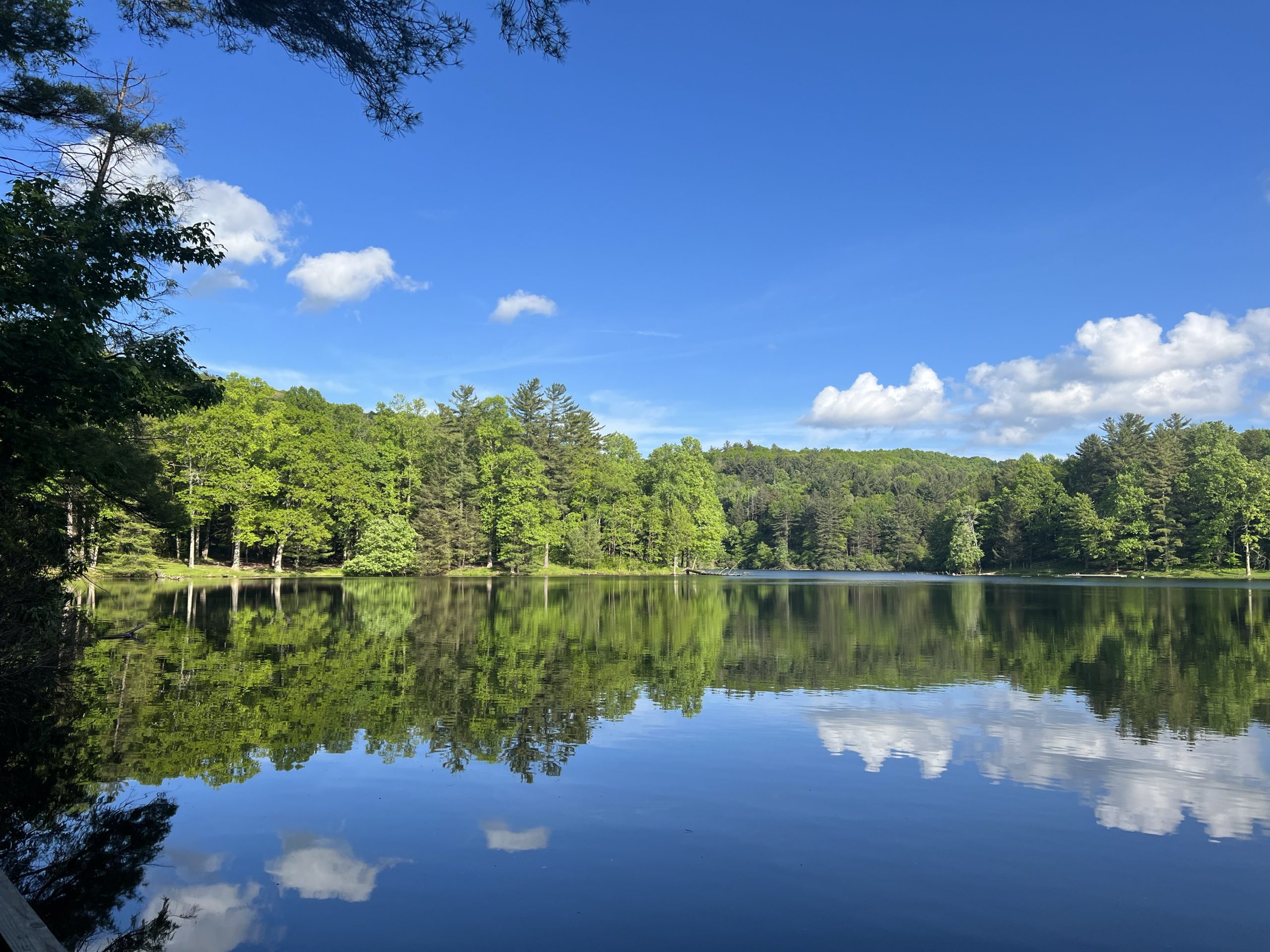 K-4473 Chattahoochee National Forest - Lake Conasauga - Radio Blog