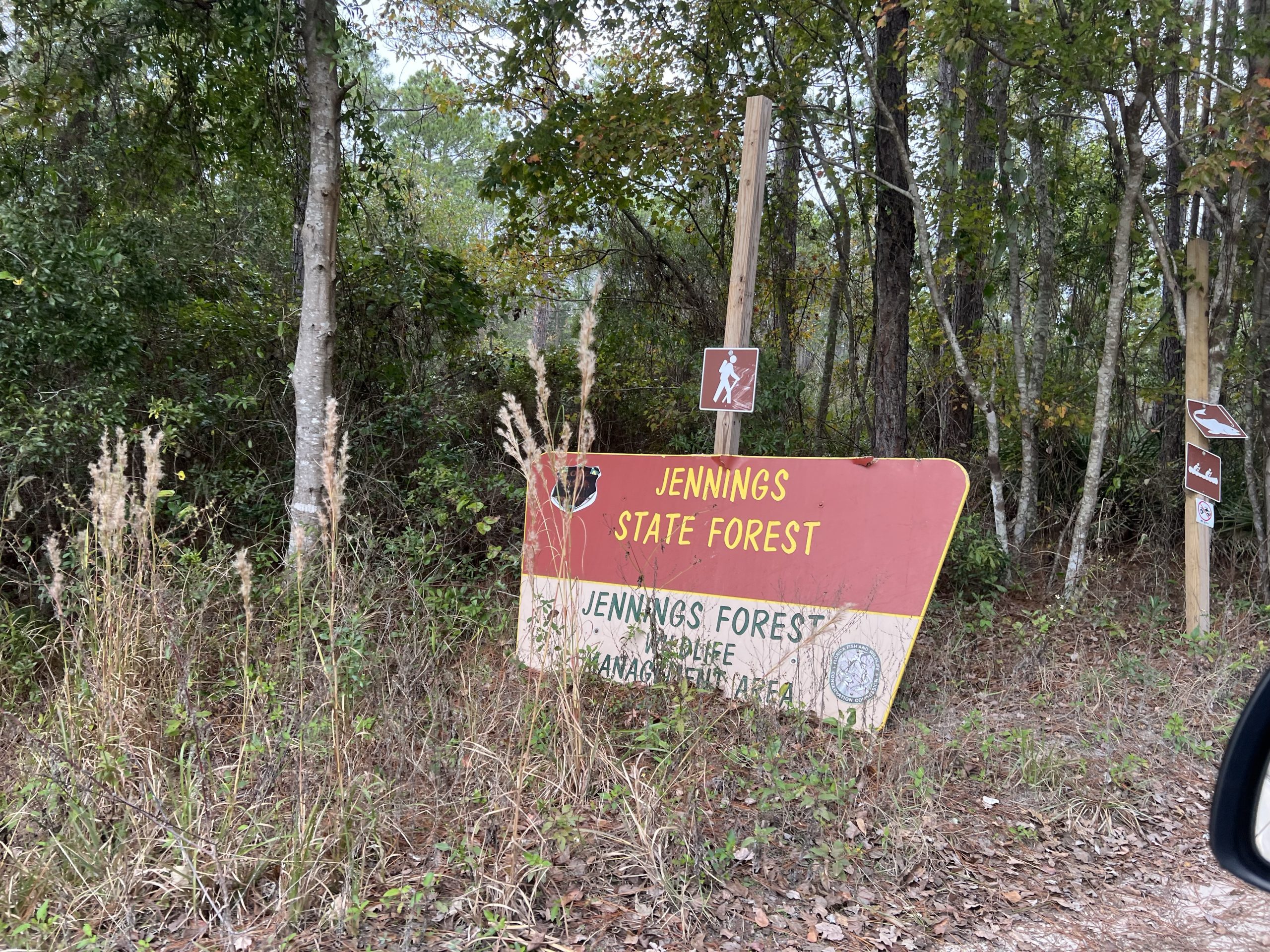K-4625 Jennings State Forest - Radio Blog