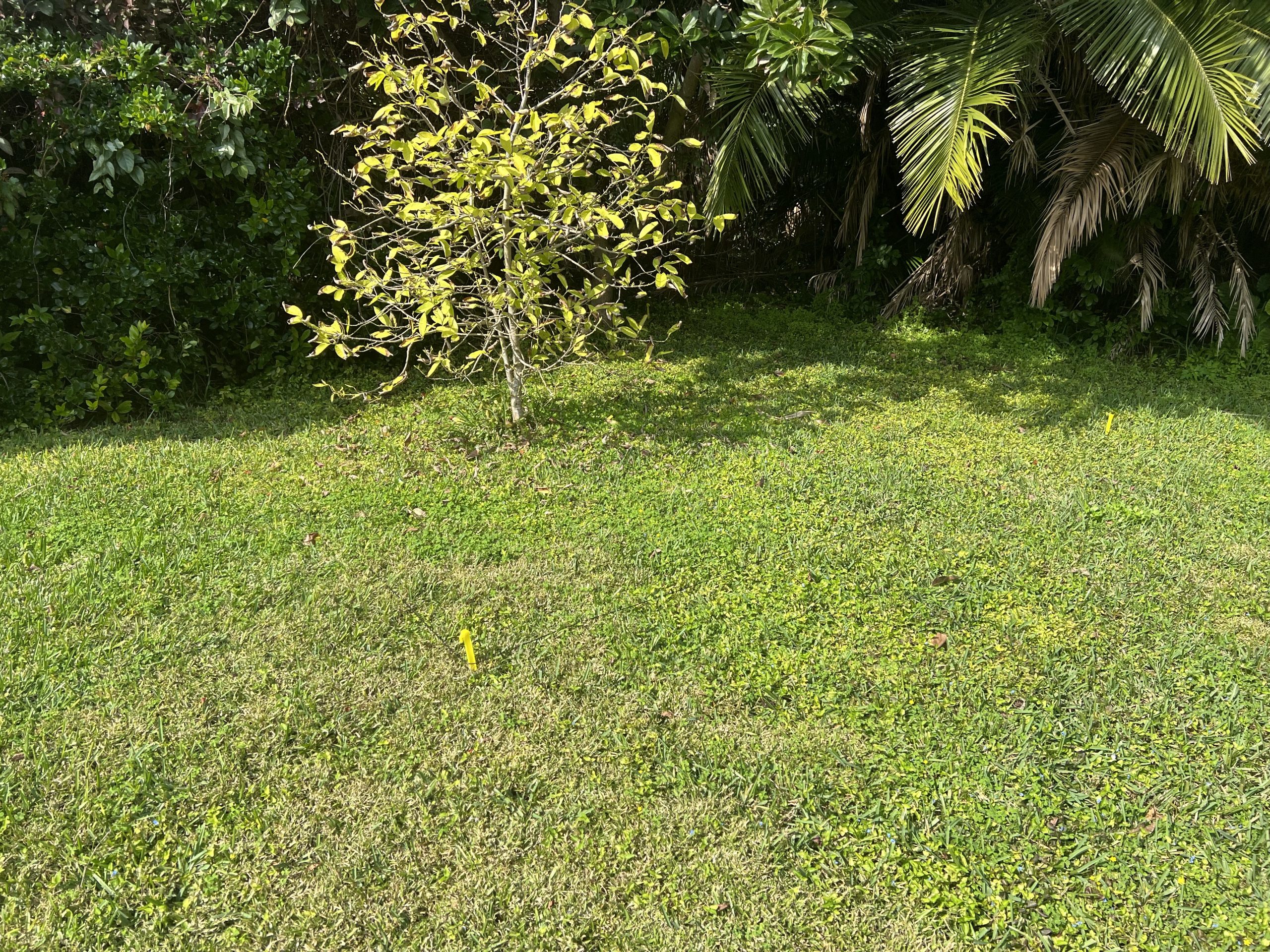 Loop on Ground RX antenna - Radio Blog